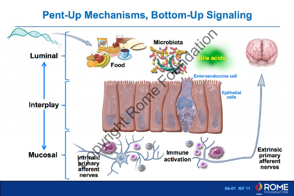 Microenvironment 01 – Pent-Up Mechanisms, Bottom-Up Signaling – Rome Online