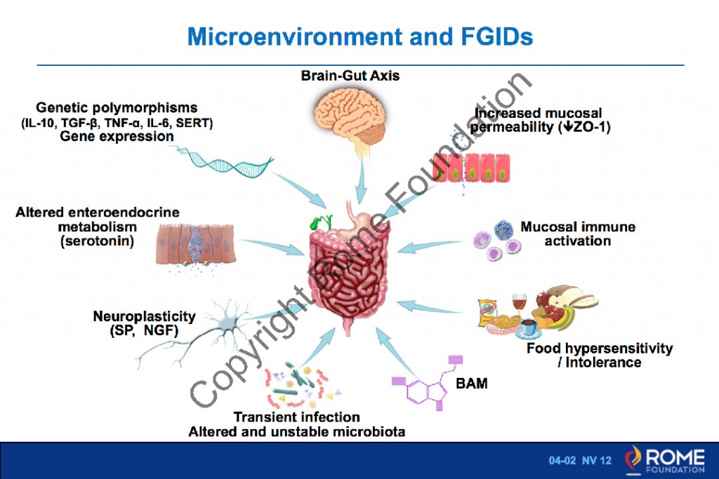 Microenvironment 02 – Microenvironment and FGIDS – Rome Online