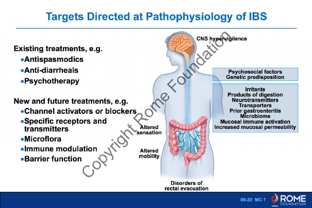 Pharmaco 22 – Targets Directed at Pathophysiology of IBS – Rome Online