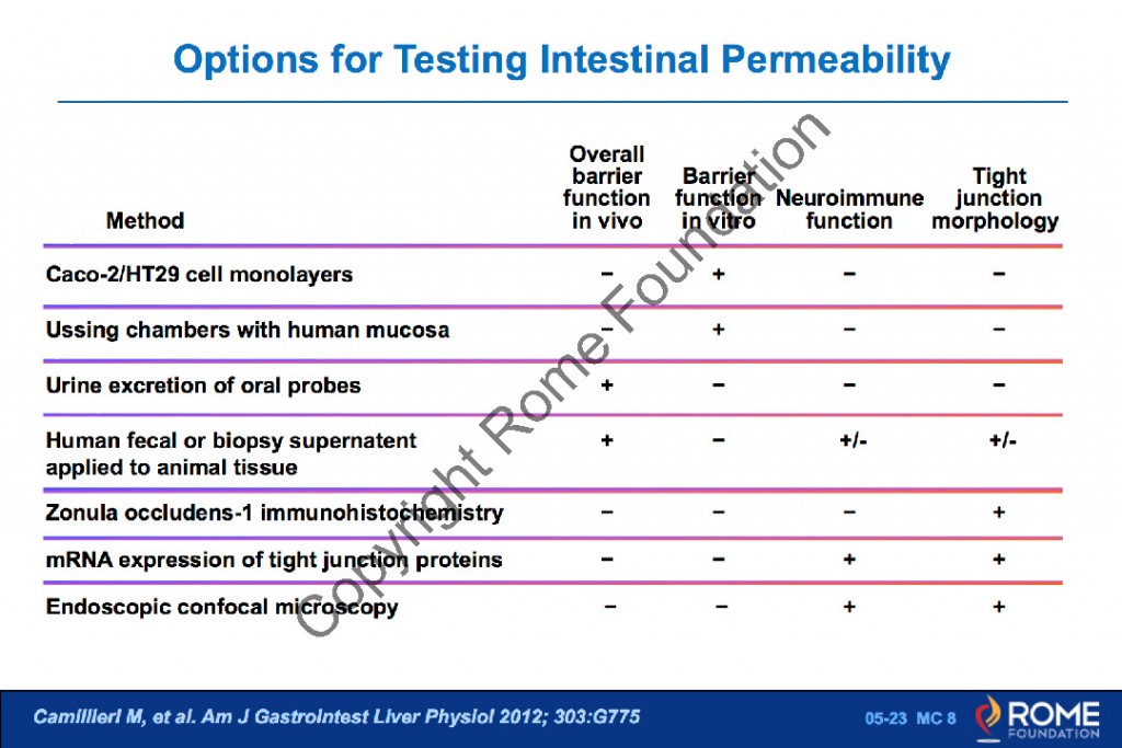 Pharmaco 23 – Options for Testing Intestinal Permeability – Rome Online