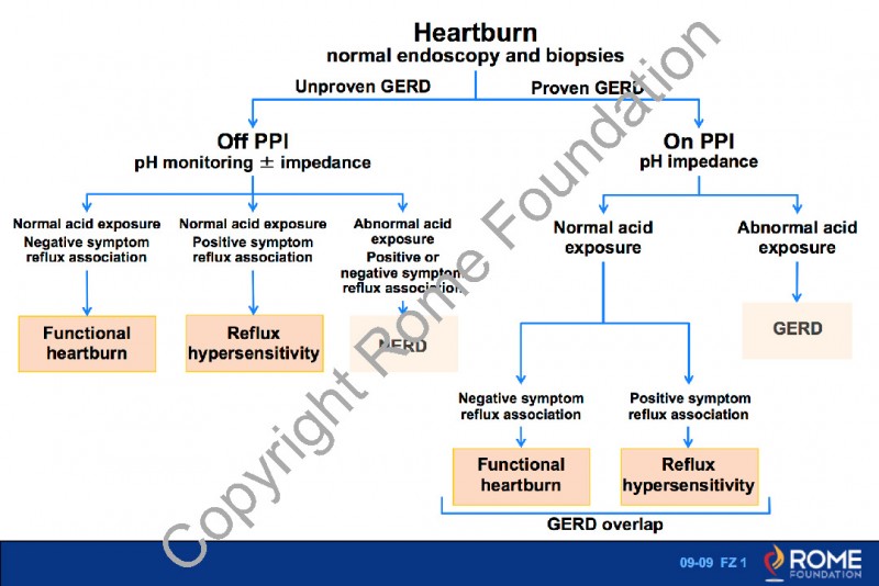 Esophagus 09 – GERD Spectrum Disorders and Other Functional Esophageal ...