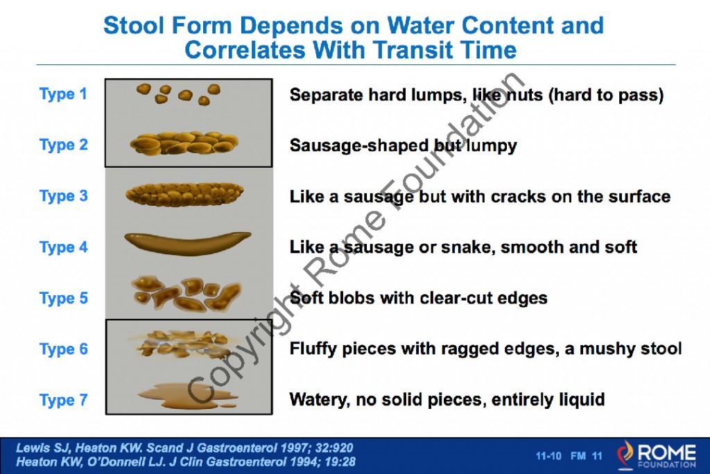 Bowel 090 – Intestinal Chloride Channels – Rome Online